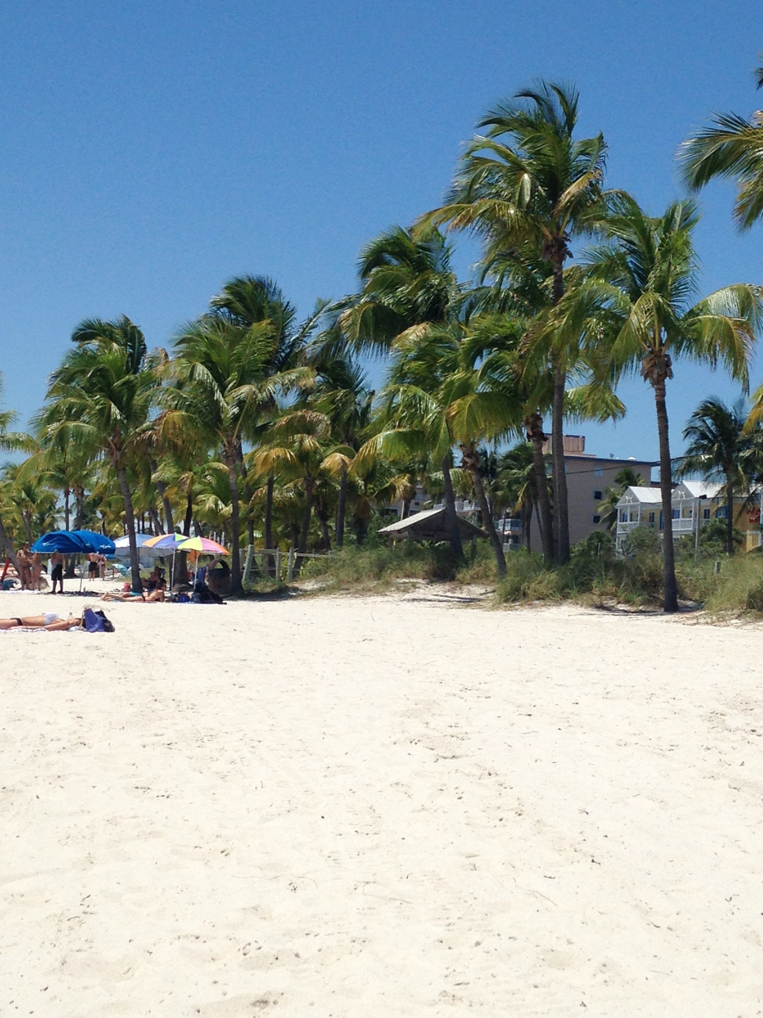 The Top 10 Reasons I LOVE Key West - Amanda Bax
